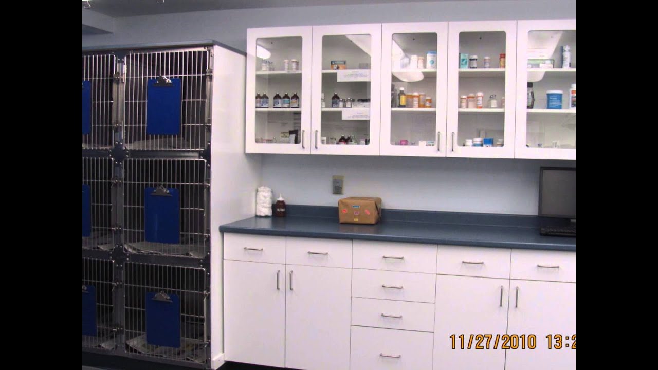 Lockridge Animal Hospital Facility Tour - YouTube
