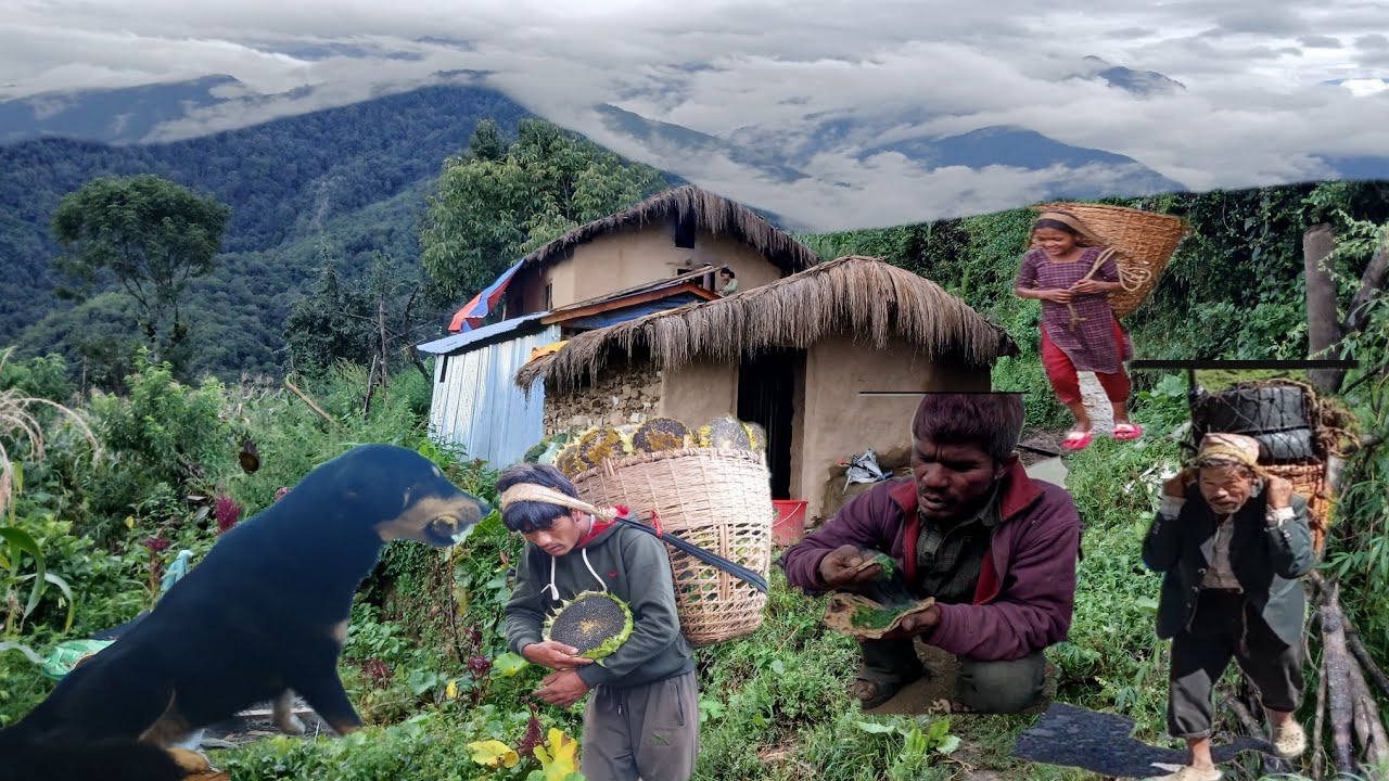 pramitive daily activity rural village life nepal most beaut full ...