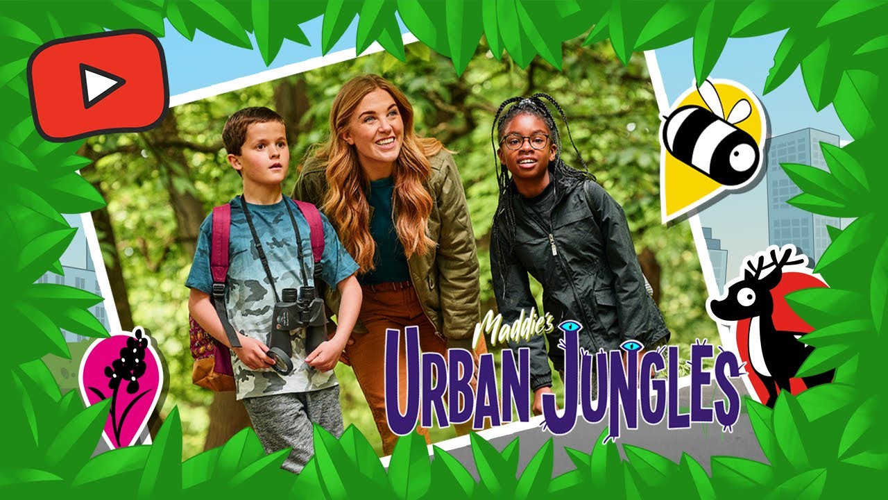 A Jungle Outside Your Front Door!! | Maddie’s Urban Jungles - YouTube