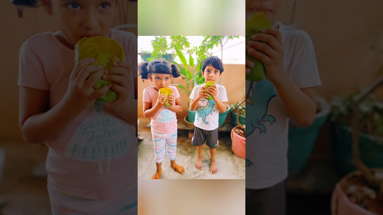 Kids enjoying Mango fruit - YouTube