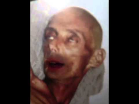 BRIAN PART 2 - YouTube