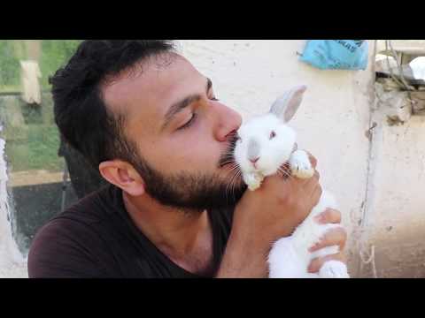 ALBİNO BEYAZ TAVŞANIM!!!
