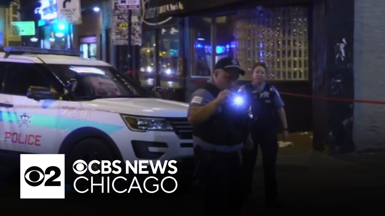 Chicago police warn of more than two dozen armed robberies on Northwest ...