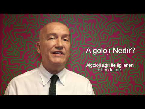 25-Algoloji Nedir? (Yeni Bölümler)
