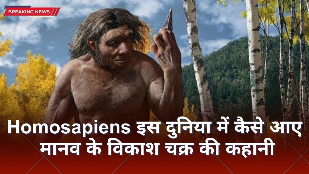 Story of human evolution | How Homosapiens came in the world ...