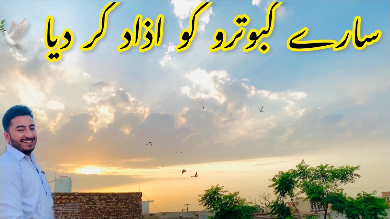 Sarey Kabootero Ko Azaid Kr Dia 🕊️ | High flying Pegion | Shakeel Ali ...