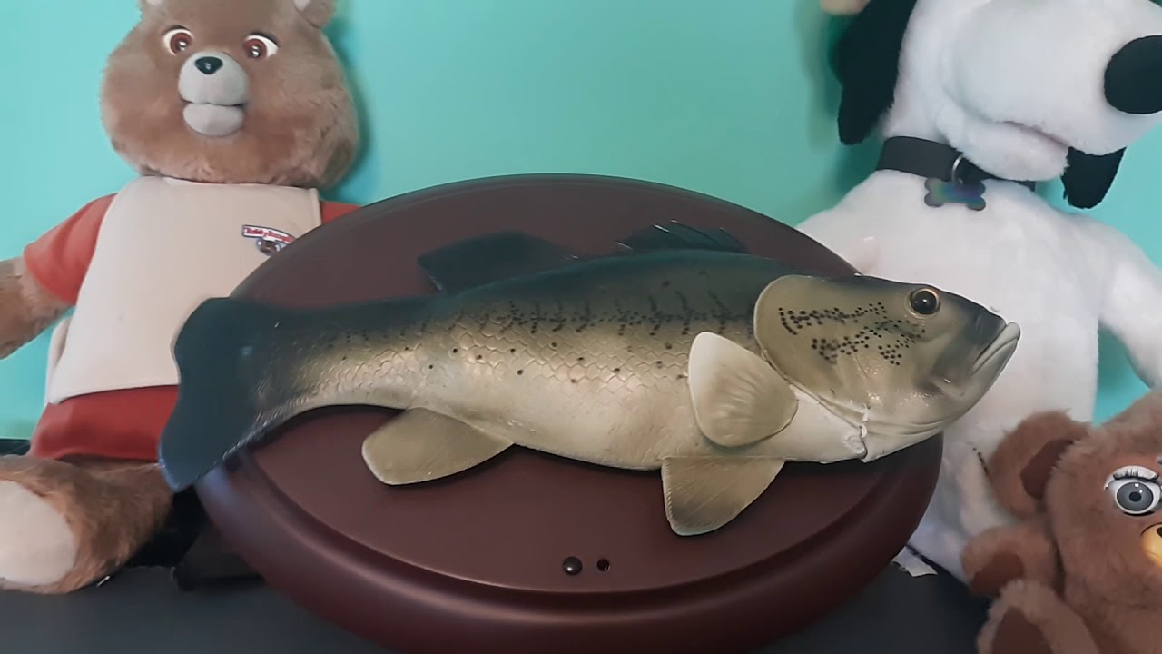 Boogie Bass Singing Fish - YouTube