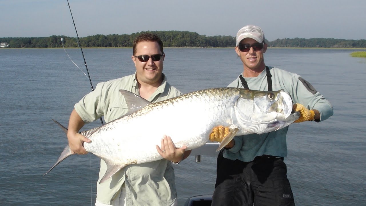 Hilton Head Island Tarpon Fishing - YouTube