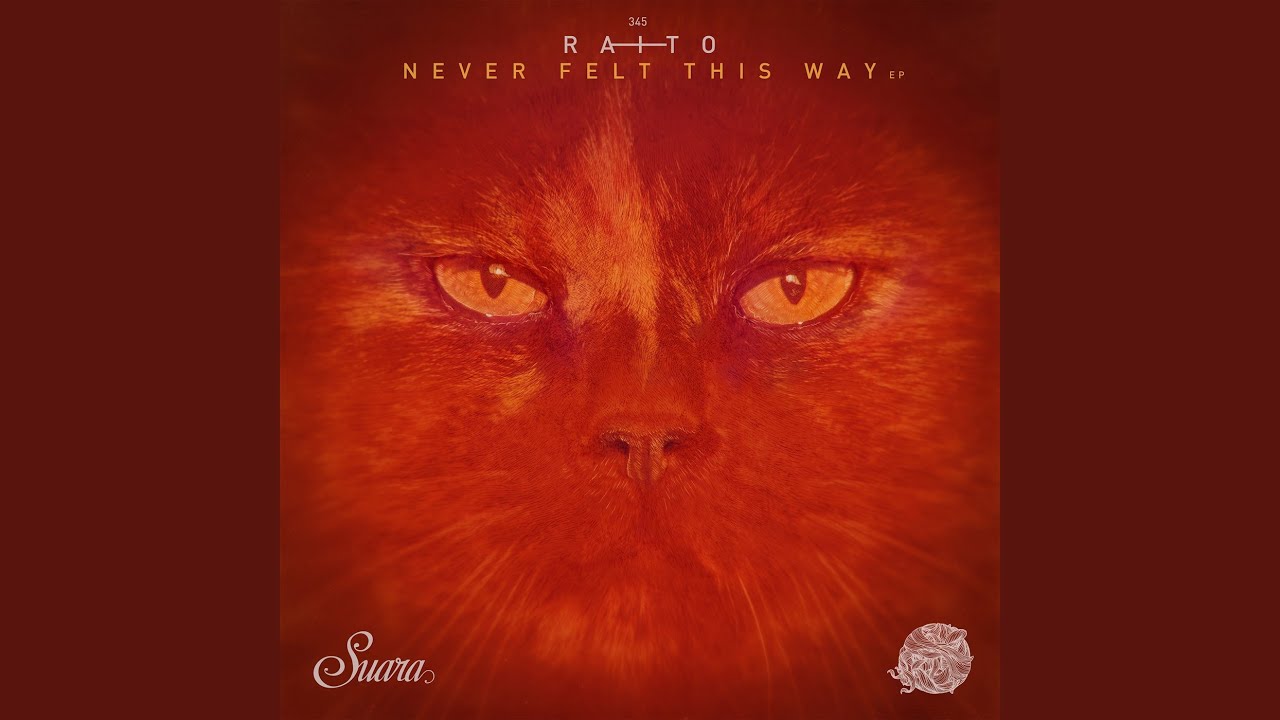 I Never Felt This Way (Original Mix) - YouTube