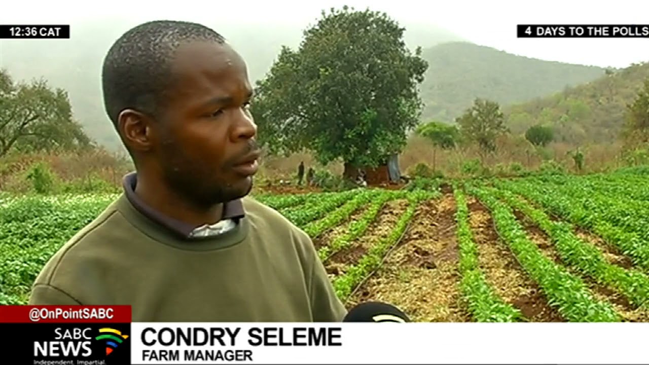 LGE 2021 | Ga-Mampa Mafefe villagers in Limpopo hoping for change - YouTube