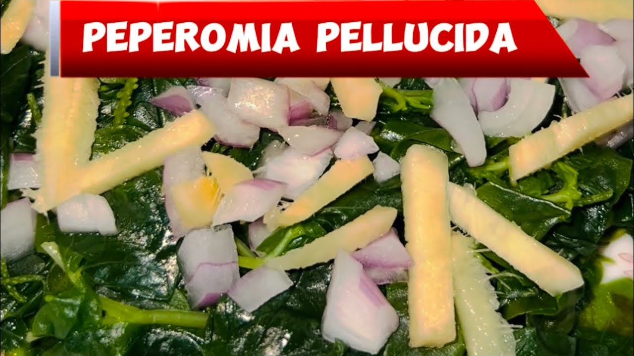 How to make pansit pansitan salad and tea - YouTube