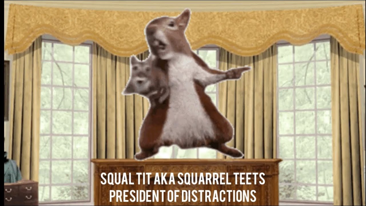 It’s everybody else’s fault! #Squalltit DISTRACTIONS EVERYWHERE…WHY ...