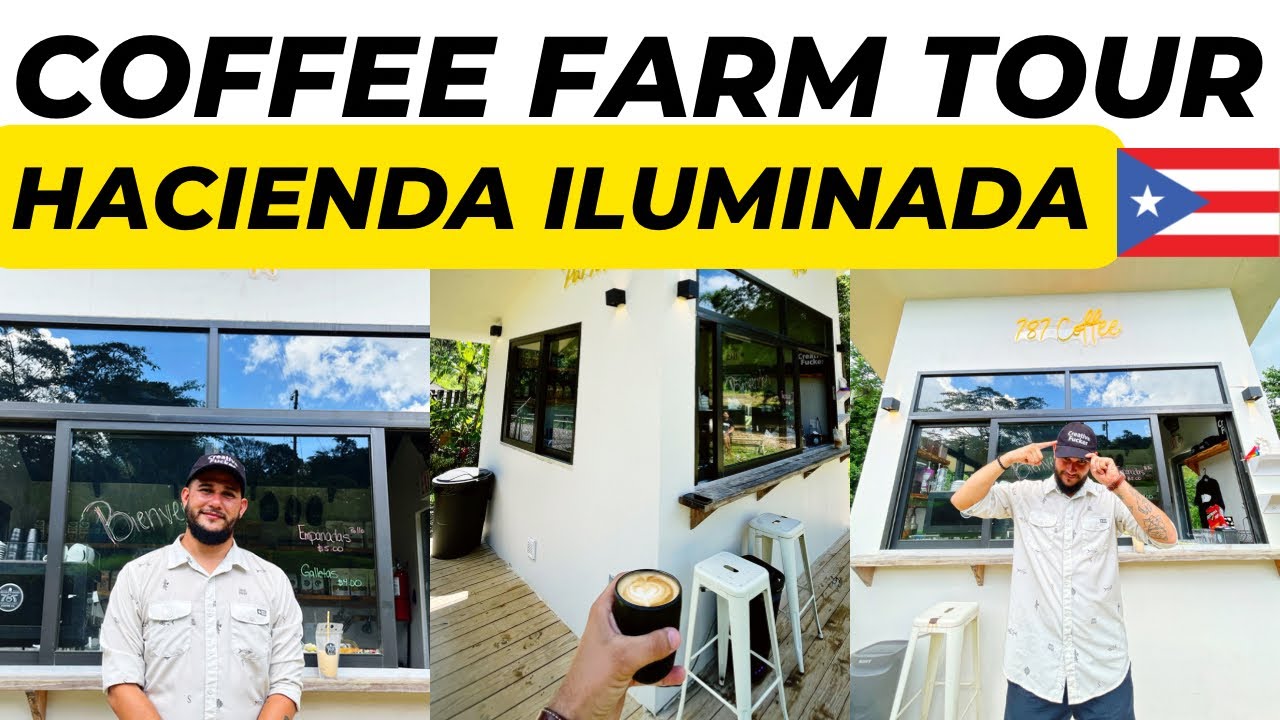 Exploring Puerto Rico's Coffee Farm PARADISE 🇵🇷 Puerto Rico Travel ...