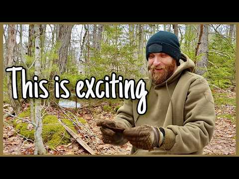 Moved into a new place and going to see what's in the yard metal detecting