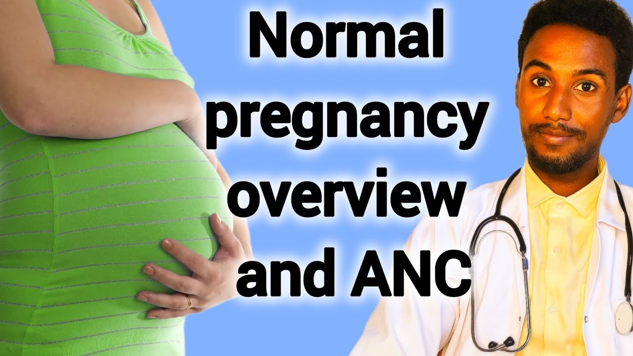 Normal pregnancy overview and antenatal care - YouTube