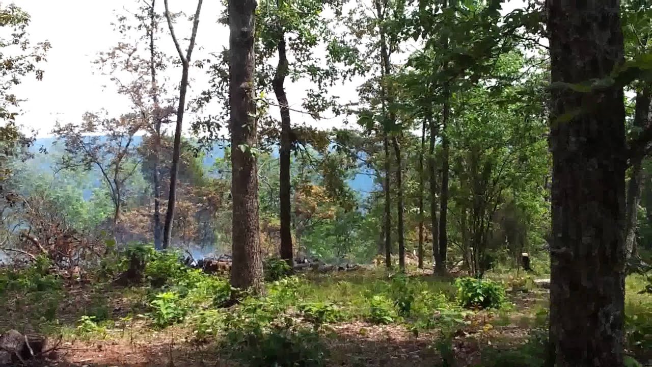 Land Clearing Fire - YouTube