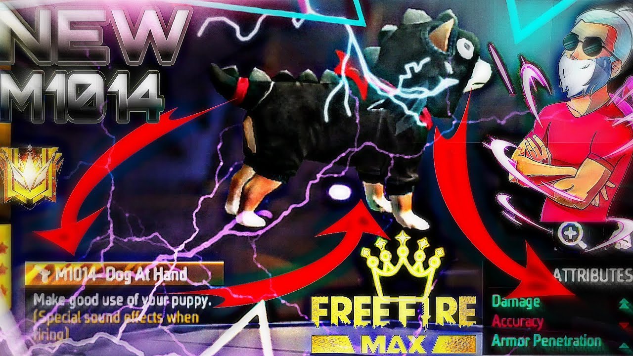 NEW SHIBA M1014 GUN SKIN IS COMING - YouTube