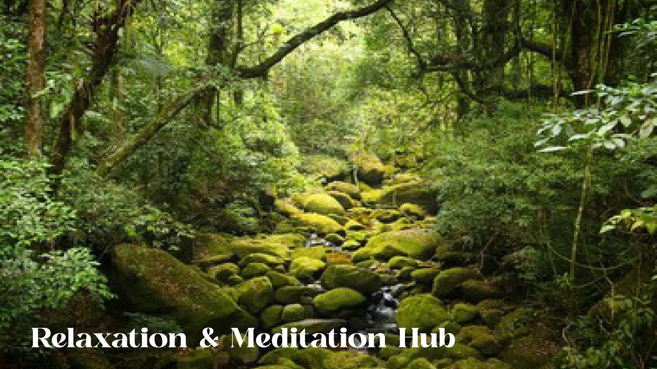 Soothing instrumental music that will help you to relax, as well as ...