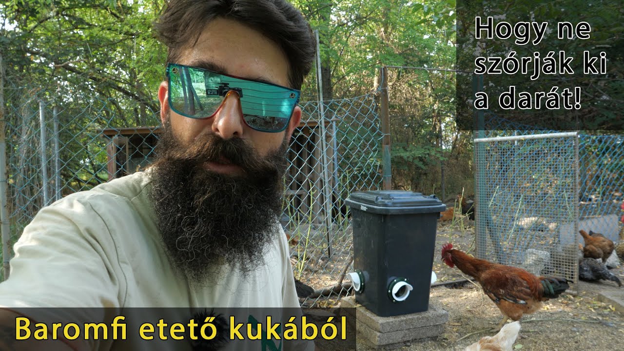 Baromfi tyúk csirke kacsa etető önetető, amiből nem szórják ki a darát ...