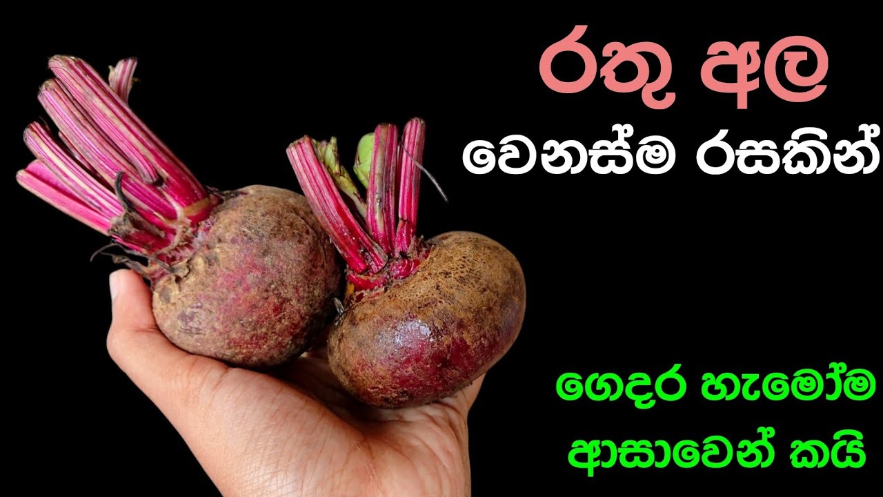 රතු අල වෙනස්ම රසකින් | Rathu Ala | Beetroot Recipe | @mskitchen3708 ...