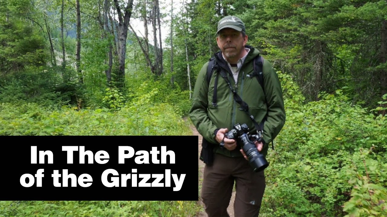 In The Path Of The Grizzly, By Eric Rock - YouTube