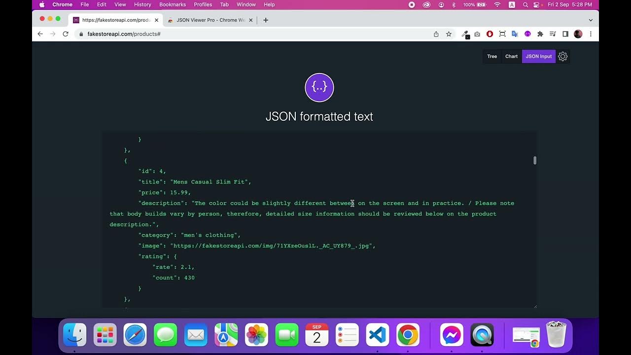 How to Get clean API Response using JSON Viewer Pro - YouTube
