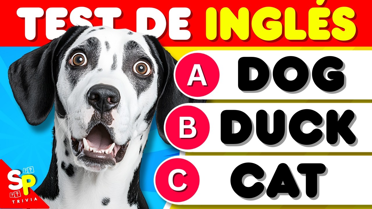 TEST DE INGLÉS - Nivel Fácil 🇺🇲🤓 | ¿Puedes Superar este Test? 🤔⁉️ ...