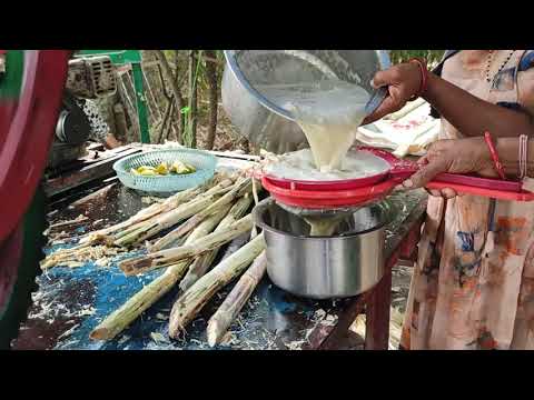 Padam Dungri Vlog | Surat | Eco Tourism | neon aesthetics - YouTube