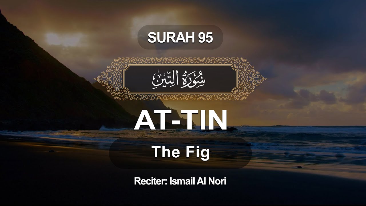 Surah At Tin Surah 95 The Fig With English Translations