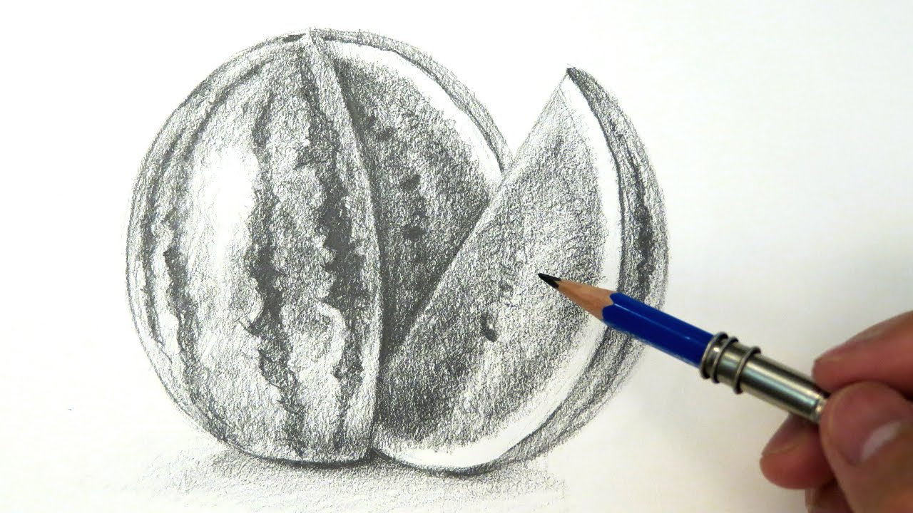 Watermelon Pencil Drawing