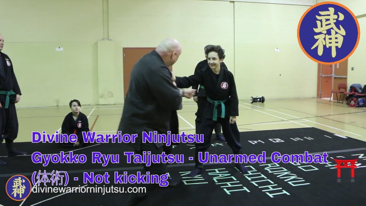 Not kicking - Gyokko Ryu Taijutsu - Unarmed Combat (体術) - YouTube