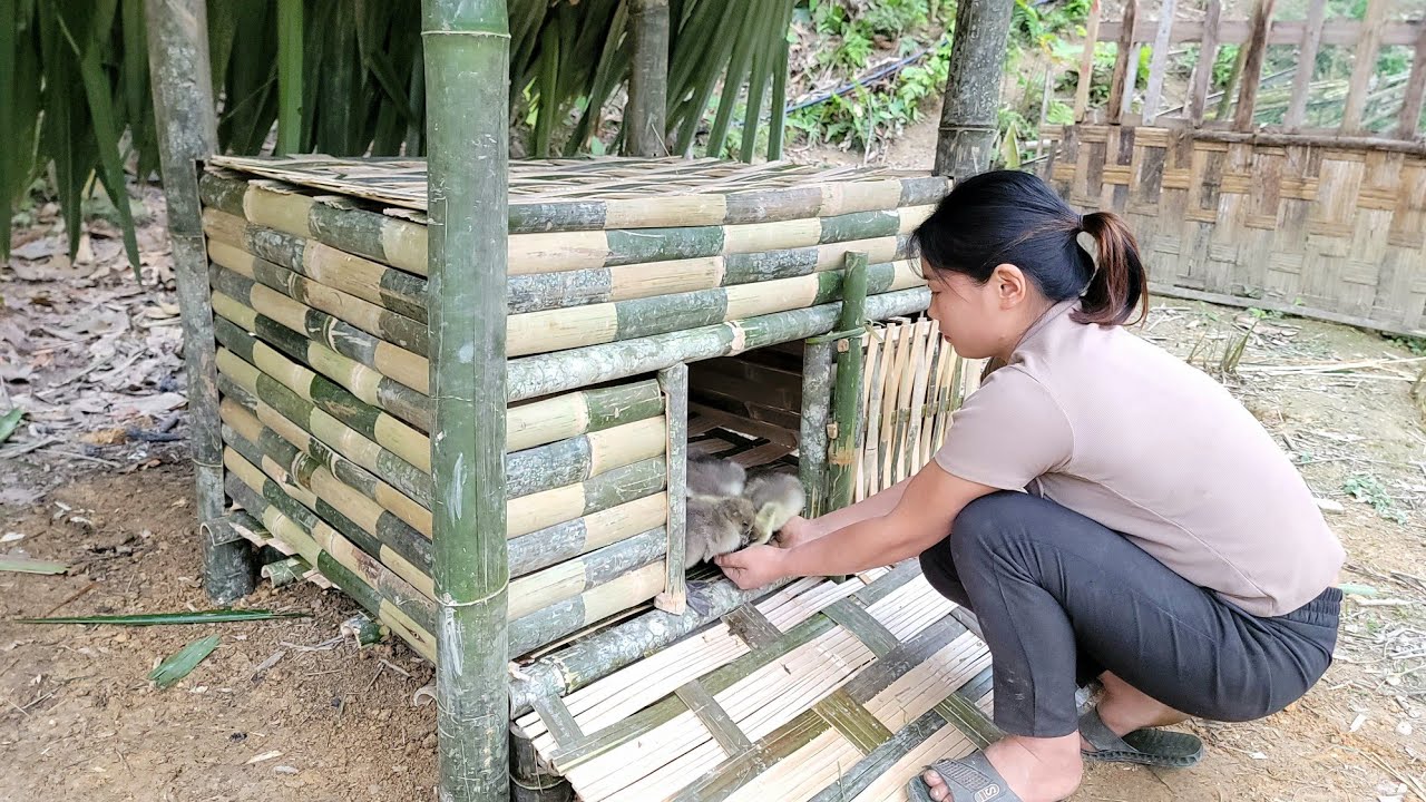 Making a goose cage out of bamboo is simple and super beautiful - YouTube