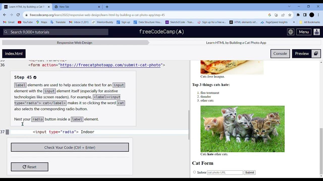 Learn HTML by Building a Cat Photo App Step - 45 || freeCodeCamp - YouTube
