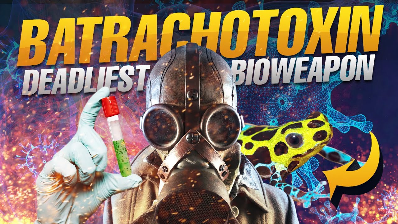 Deadliest Poison In The World | Batrachotoxin - YouTube
