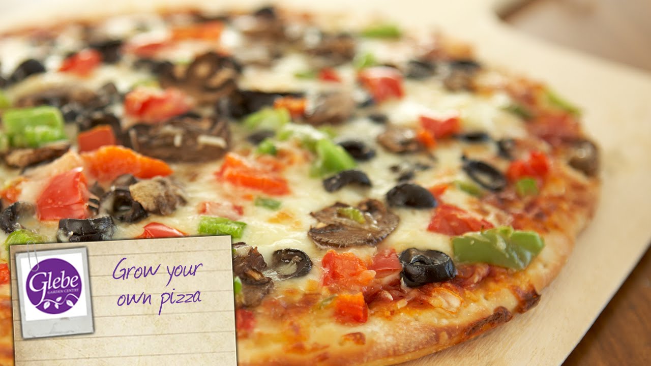 How to grow your own pizza - YouTube