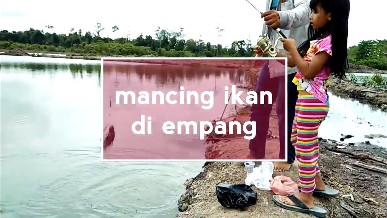 mancing ikan di empang/ empangnya luas langsung stike - YouTube