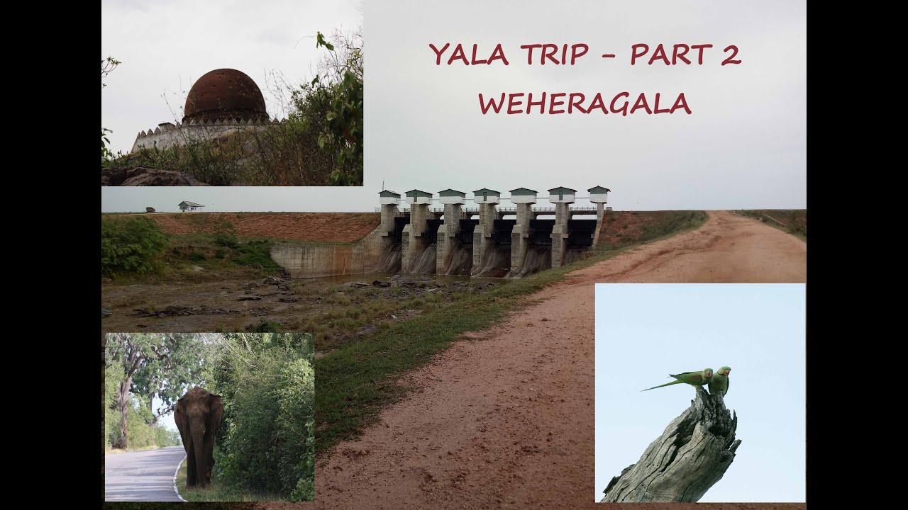 Yala trip part - 2 Weheragala - YouTube