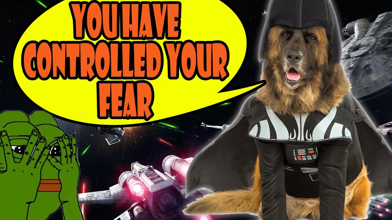 CoD Warzone: Halloween Edition - Jump Scare Compilation #1 - YouTube