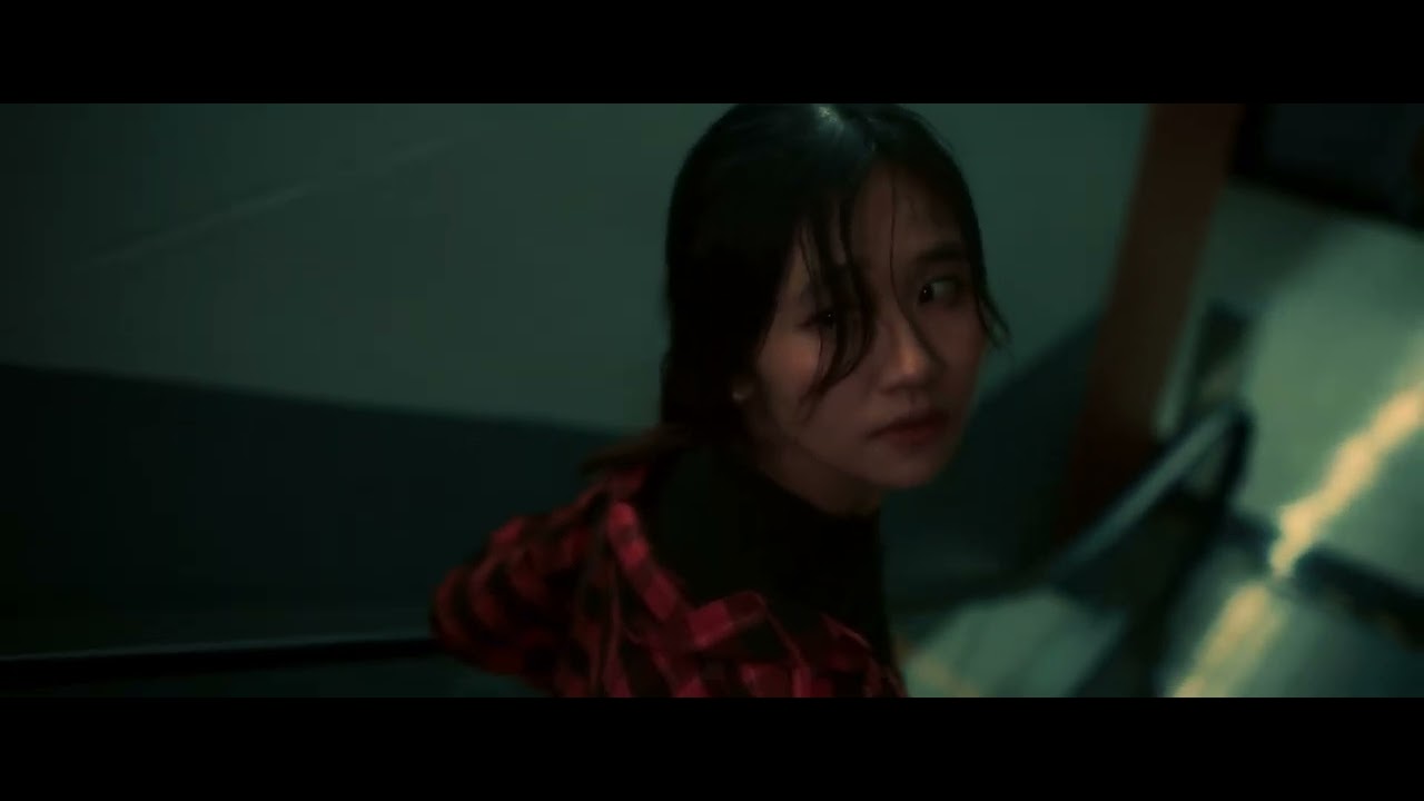 Follow The Rabbit - YouTube