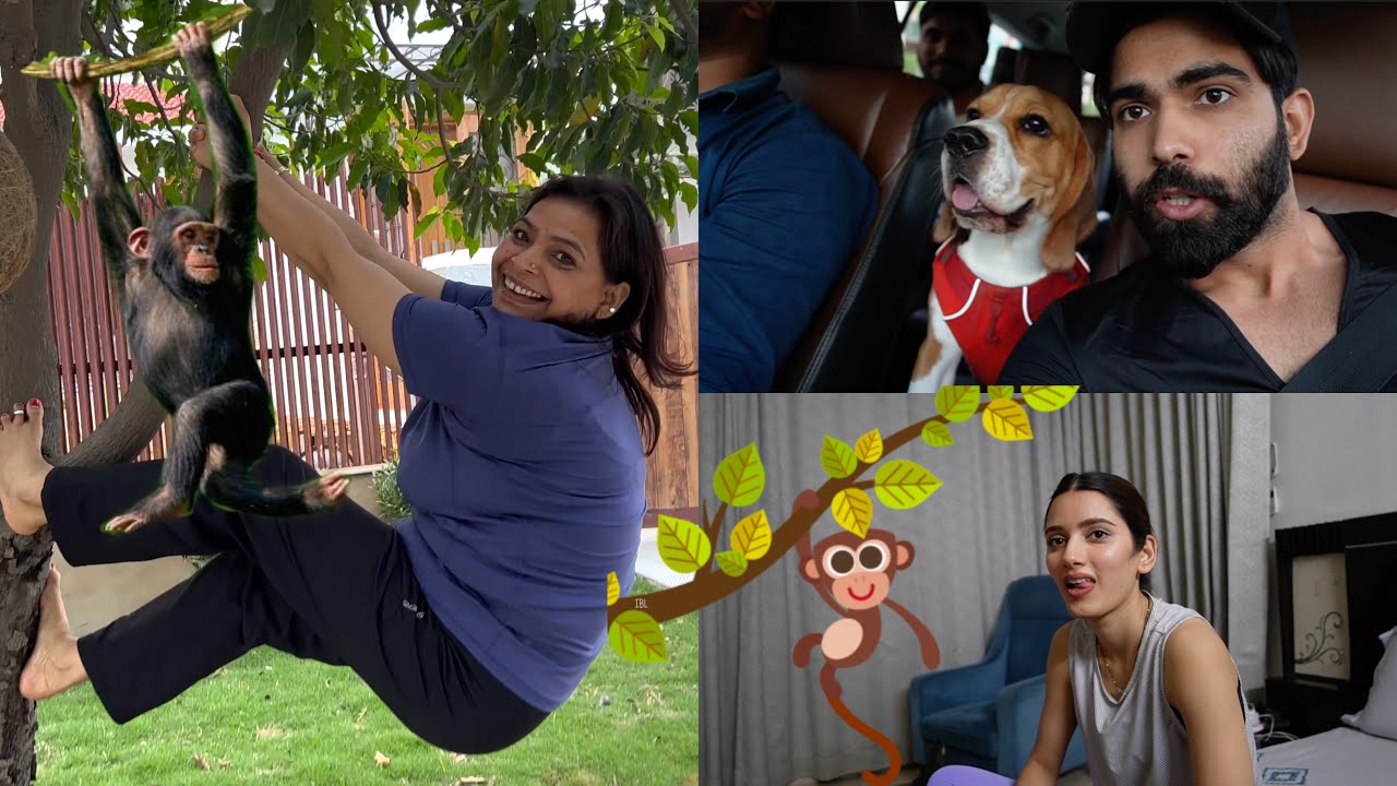 Mummy ka Monkey Challenge🐼 | Full Day Masti 😂 - YouTube