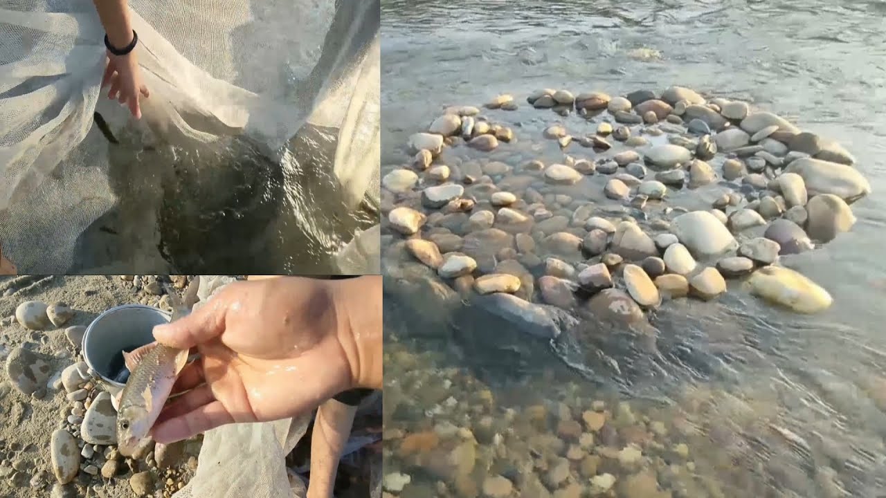 local fishing method by building stones trap for fish😲lots of fish # ...