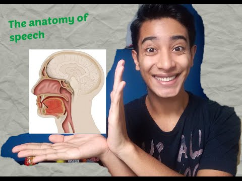 The anatomy of speech - YouTube