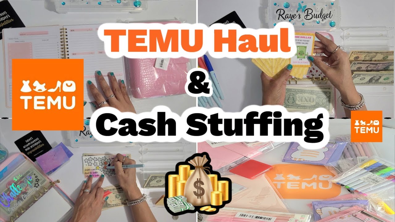 Budget and Planning Items From TEMU | Small TEMU Haul | Sinking Funds ...