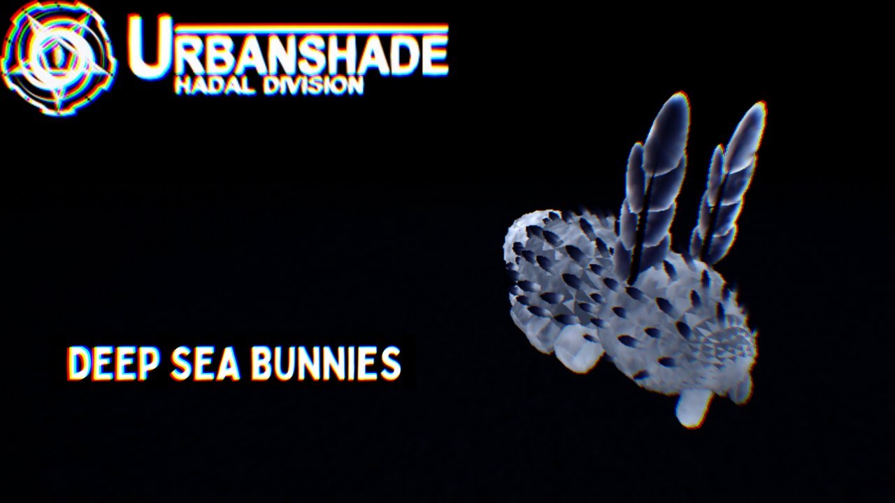 Profundus Jorunna Parva: Deep Sea Bunnies - YouTube