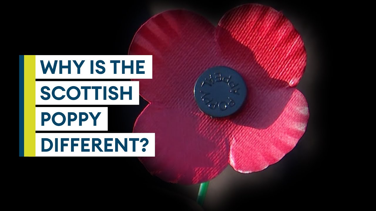 How and why is the Scottish poppy different? - YouTube