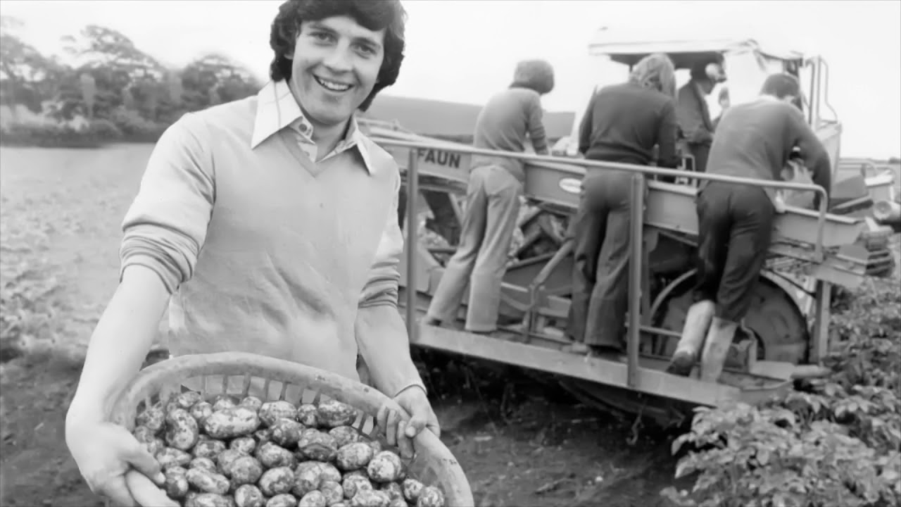 Mash Direct What Makes Us Special - YouTube