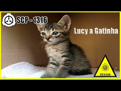 SCP-1316|"L̶u̶c̶y̶ ̶a̶ ̶G̶a̶t̶i̶n̶h̶a" Dispositivo Felino de Espionagem ...