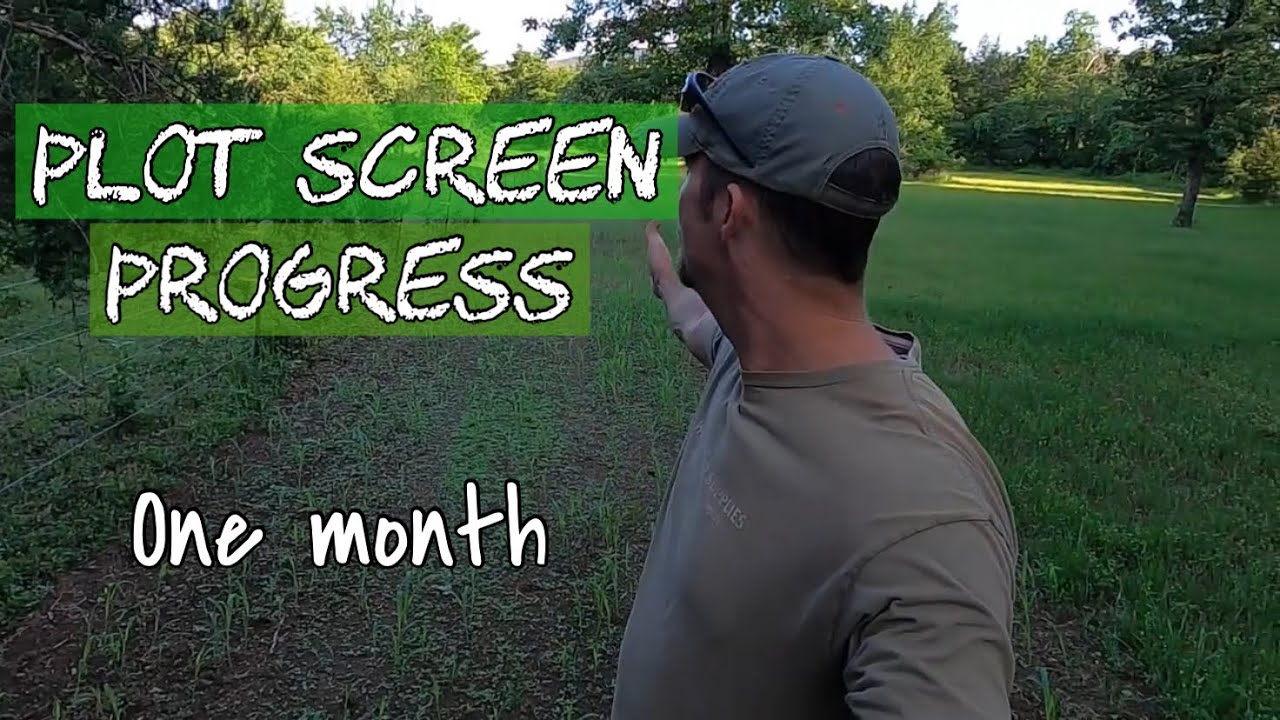 Plot Screen Progress (One Month) - YouTube