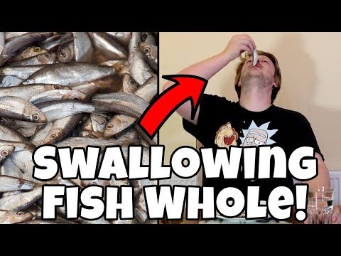 SWALLOWING 21 FISH WHOLE | WheresMyChallenge