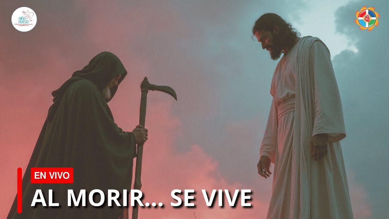 Muerte en vida: La realidad del mundo que pocos logran vencer | Niño ...